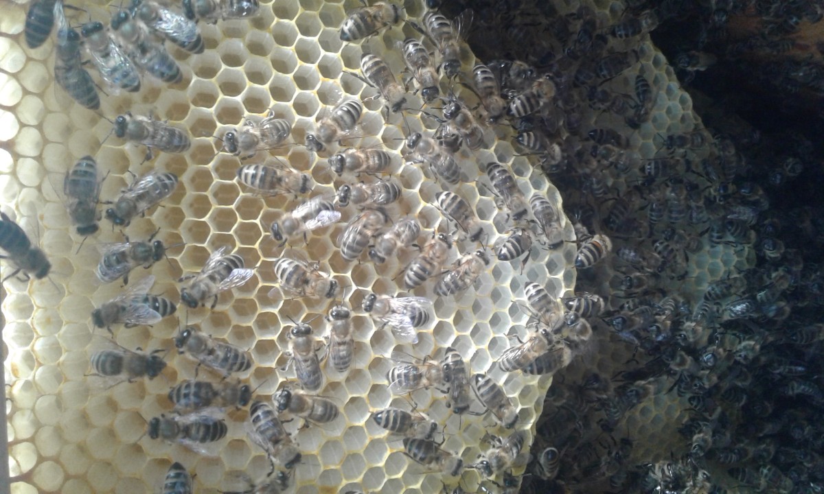 Matthias Bleyl: Die Digitale Transformation gestalten